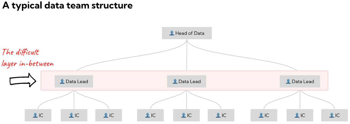 The Difficult Life of the Data Lead