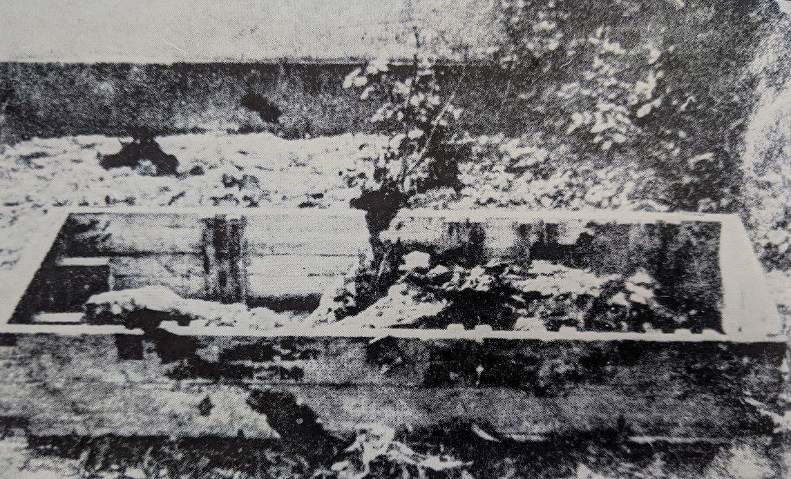 Did Adolf Hitler really only have one ball?