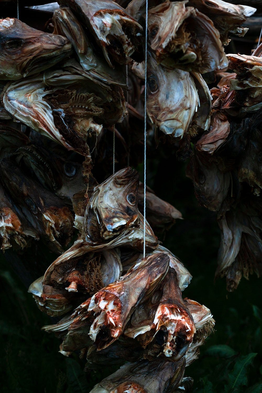 A Mountain is Only a Slow Wave by Judith Stenneken