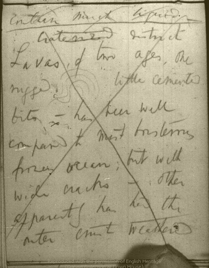 Charles Darwin's Portfolios - by Jillian Hess - Noted