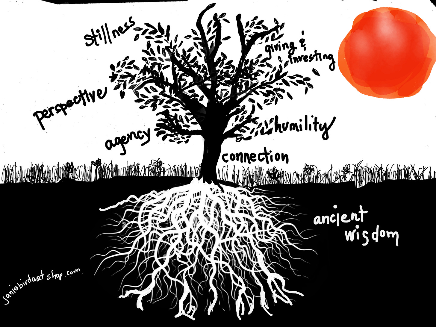 (How) Can We Teach Wisdom? - by Dr. Jane R. Shore