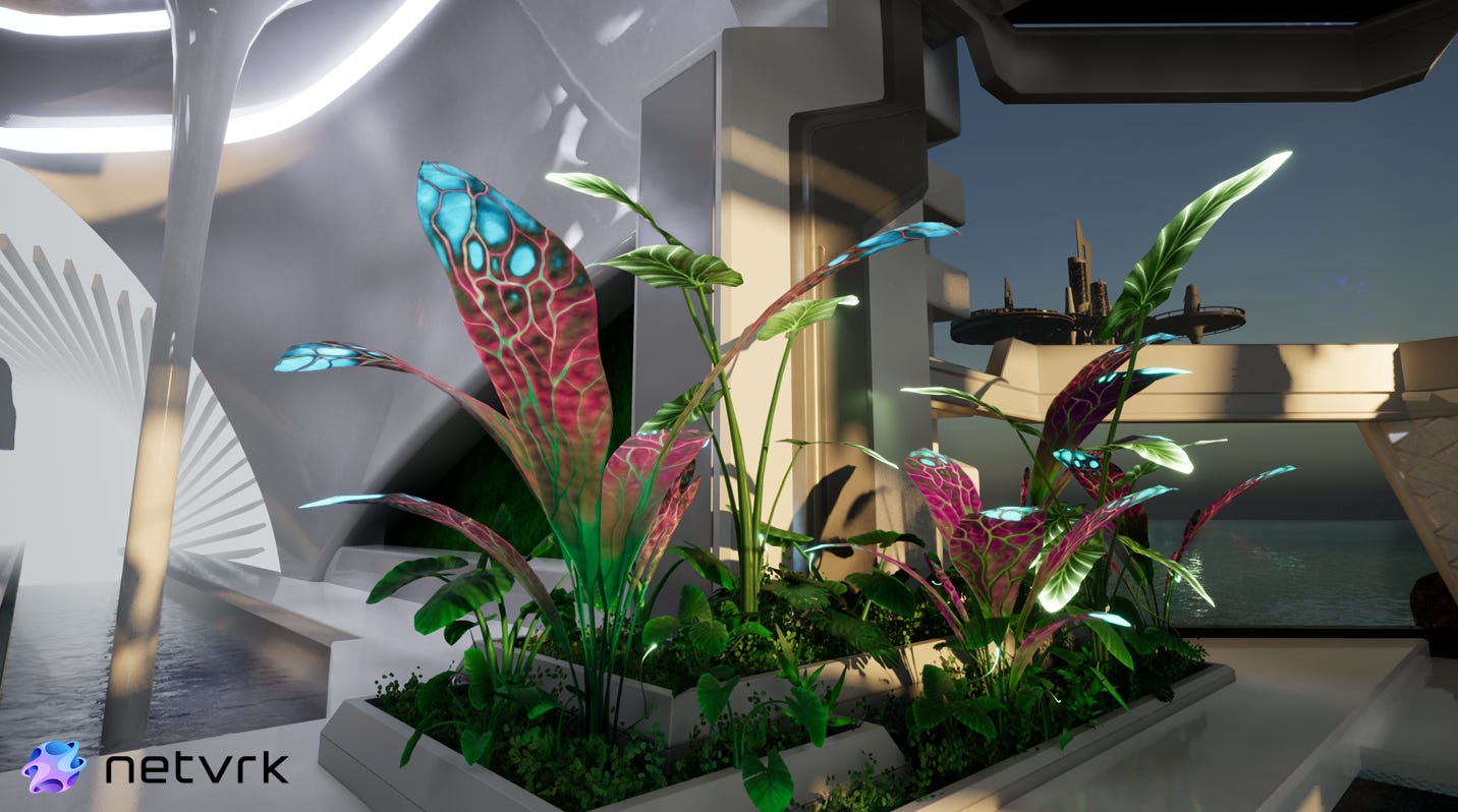 Devlog 3 - Netvrk Substack