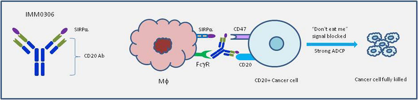 Spike protein (inc vax) induced immunodeficiency & carcinogenesis ...
