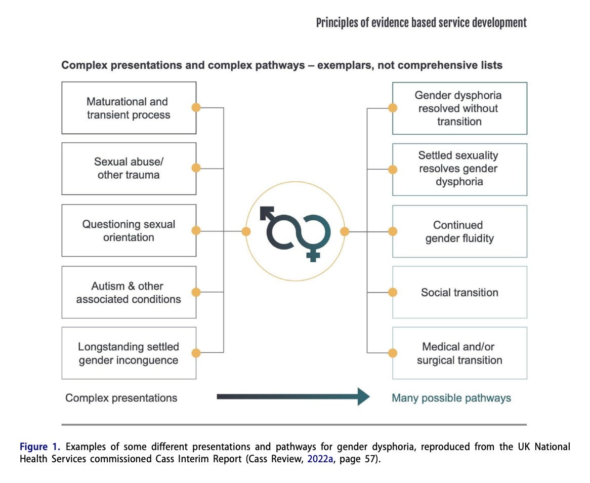 5 False Assumptions Behind Youth Gender Transitions