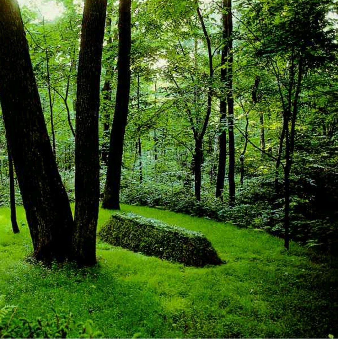 Tolstoy's Grave - Poetic Outlaws