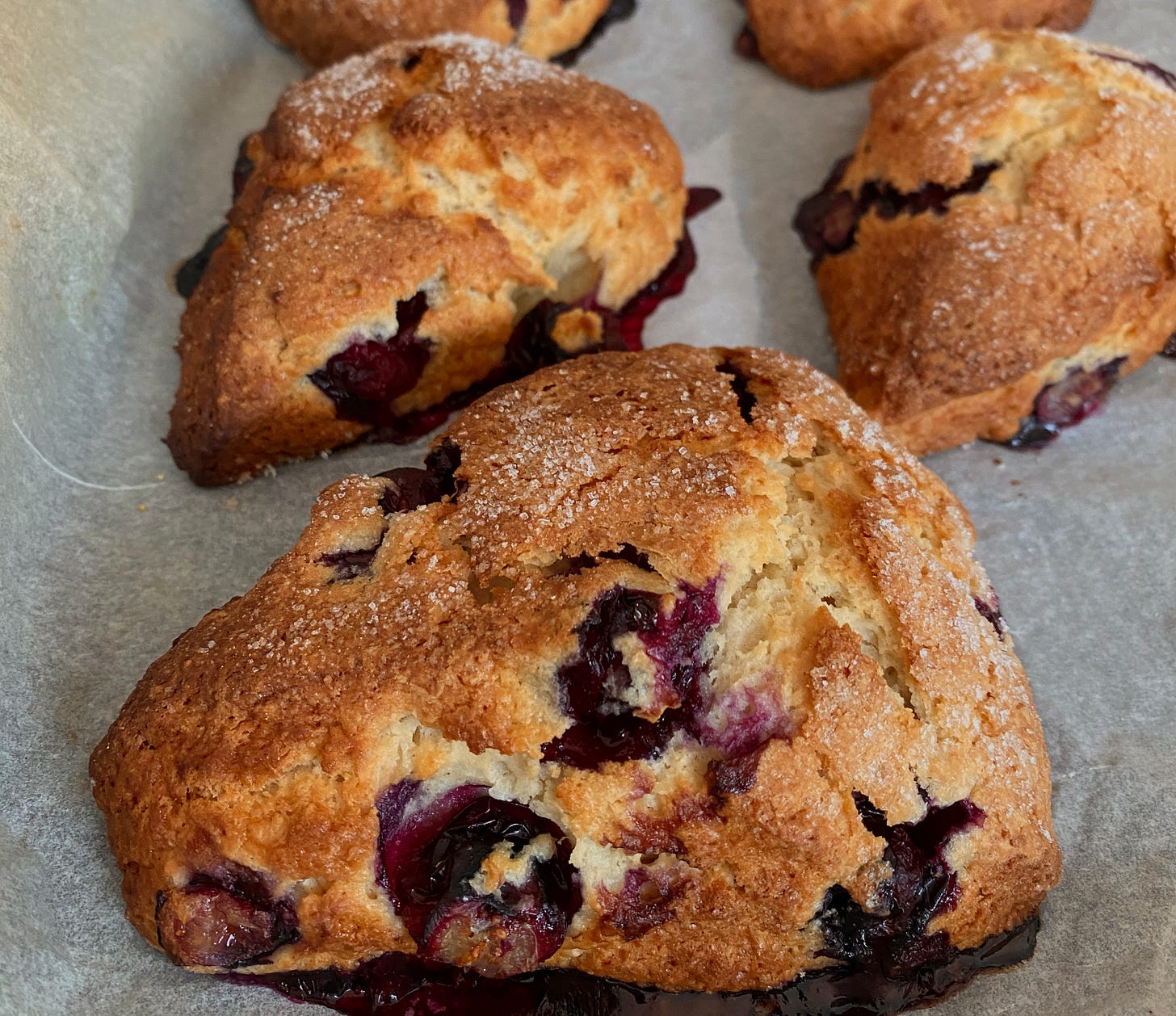 5. scone versus scone - by Natalie - On the Verge