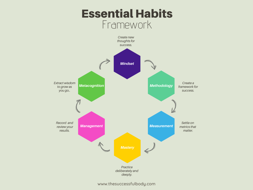The Successful Habit Framework - by Dean Dwyer