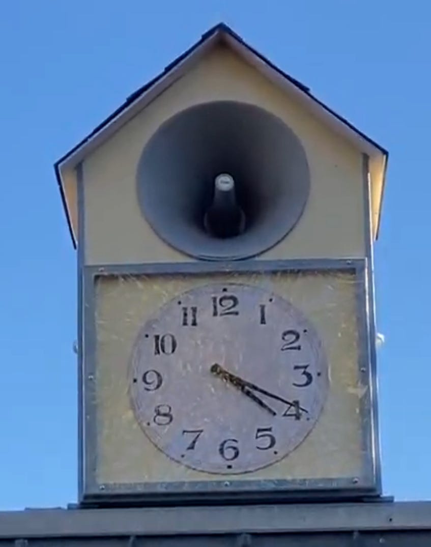 Secular Bells - by Dale Dougherty - Sebastopol Times
