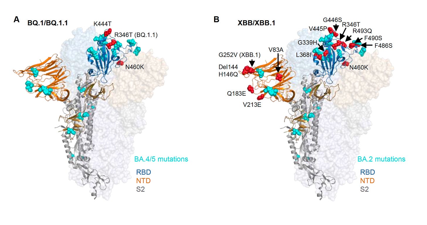 The XBB.1.5 variant is on a growth spurt in USA