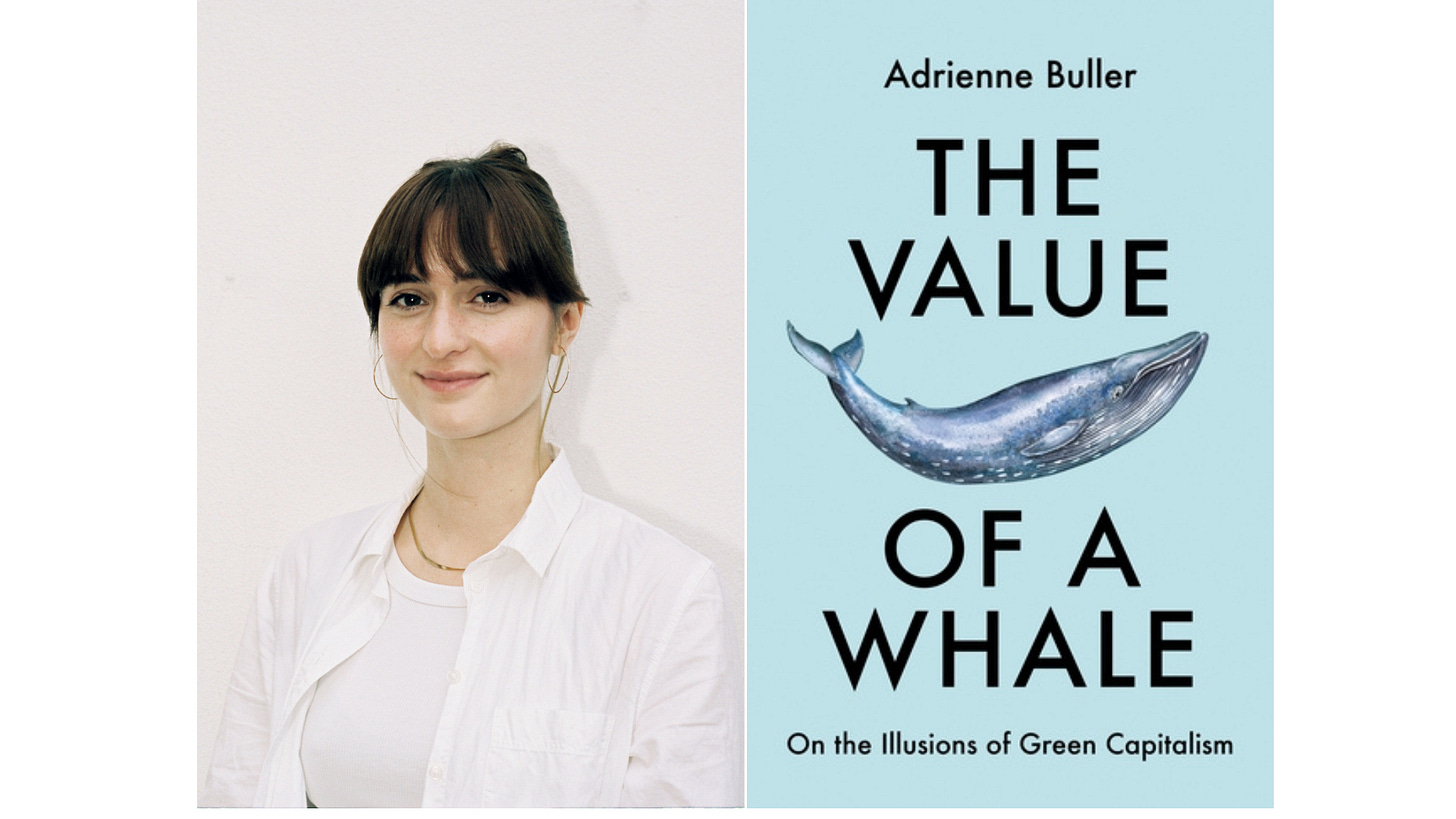 Adrienne Buller on green capitalism, risk, and market-based exploitation