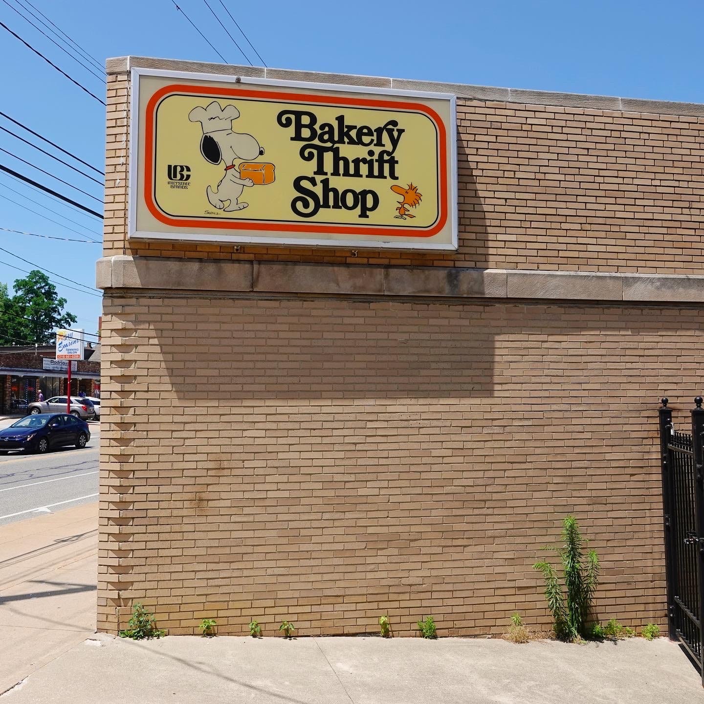 The 'Peanuts' tour of America: Exploring historic Snoopy signs and ...