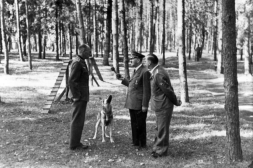Hitler moves to Werwolf HQ - by Martin Cherrett