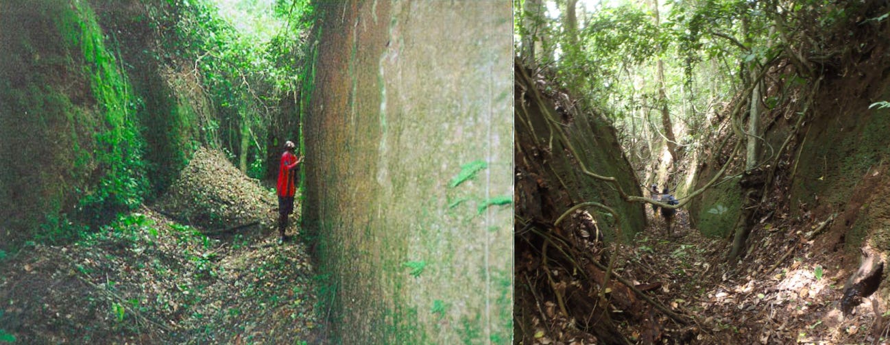 Ancient Ife and its masterpieces of African art: transforming glass ...