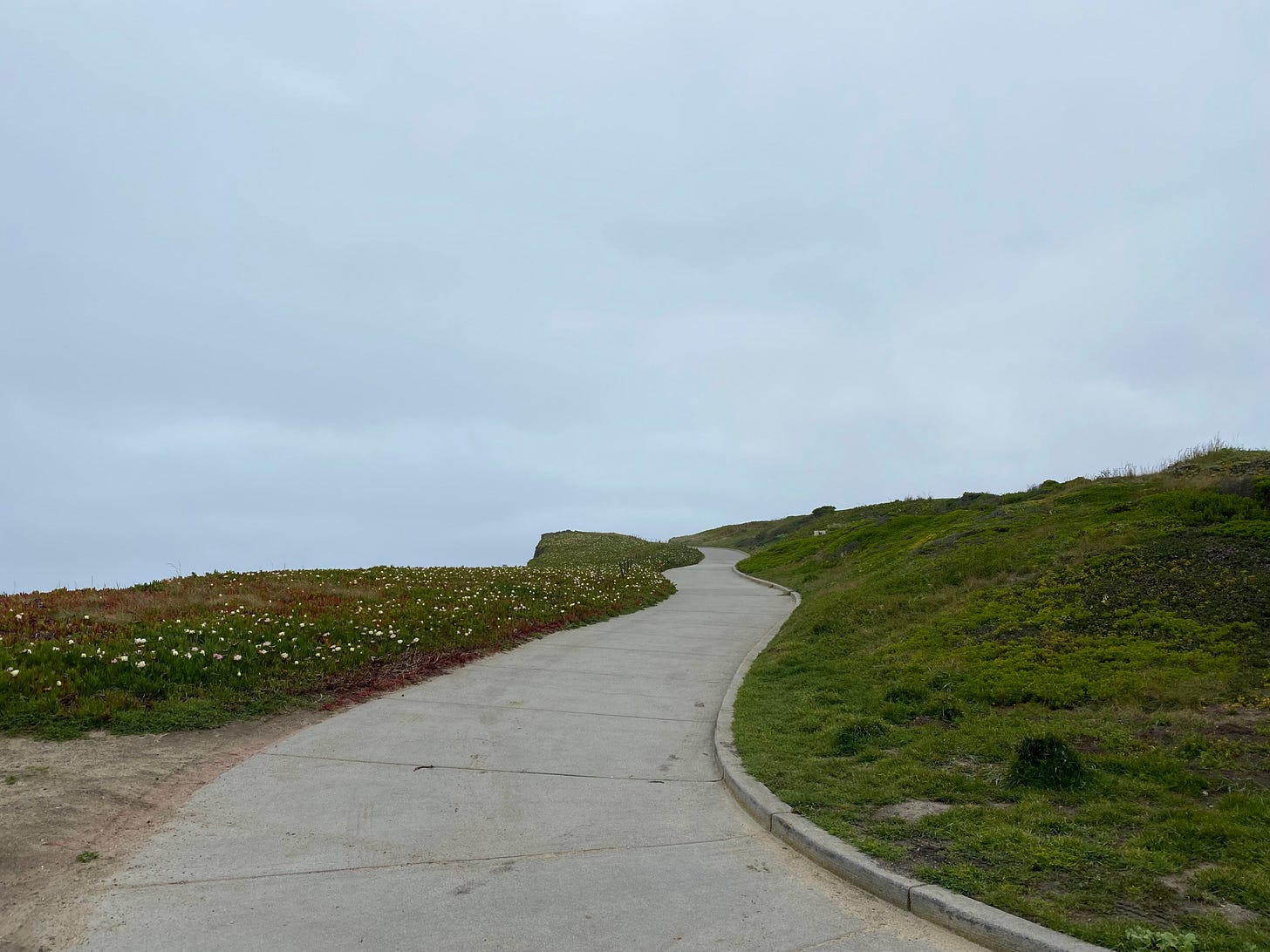 The Rules of Coloring - by Nina Solis - Gentle Observer