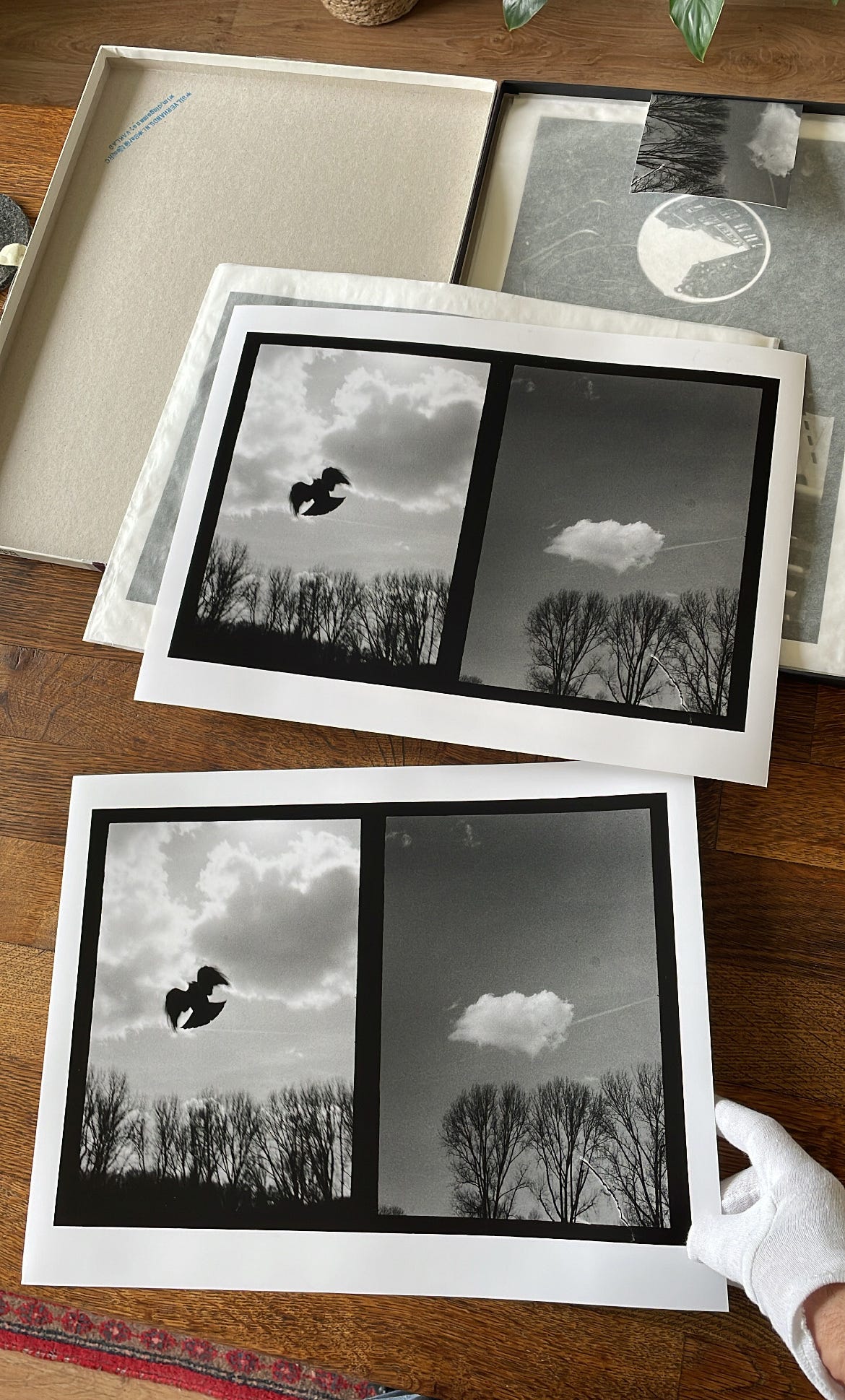 Process 063 ☼ Making Darkroom Handprints with a Legend