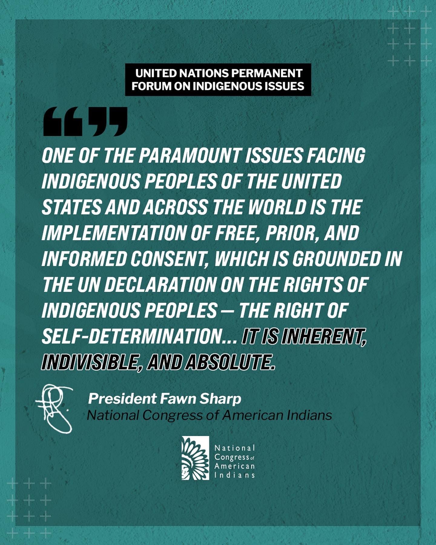 'Free, Prior and Informed Consent' on the world stage