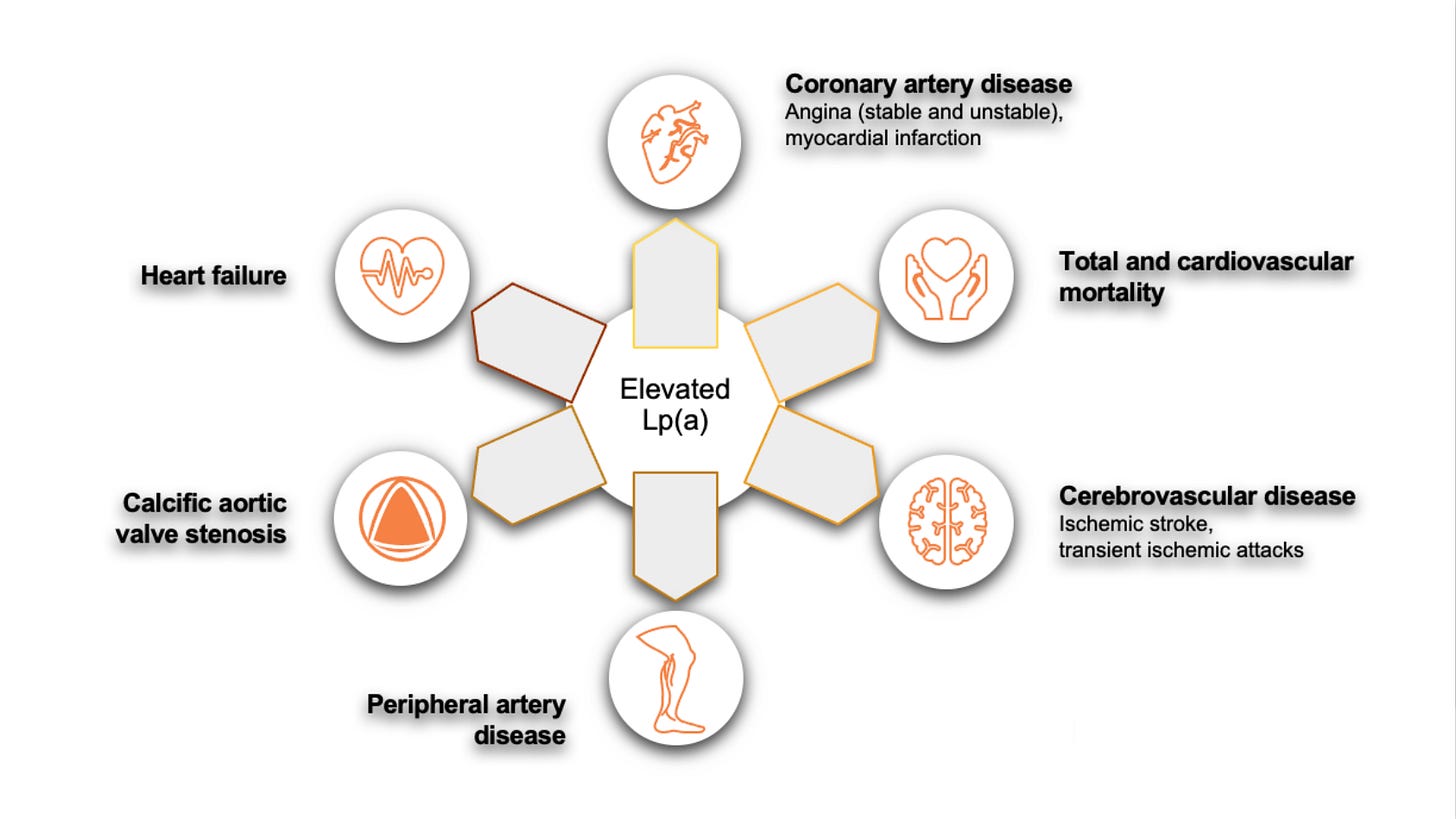 Lp(a) & The Risk Of Heart Disease