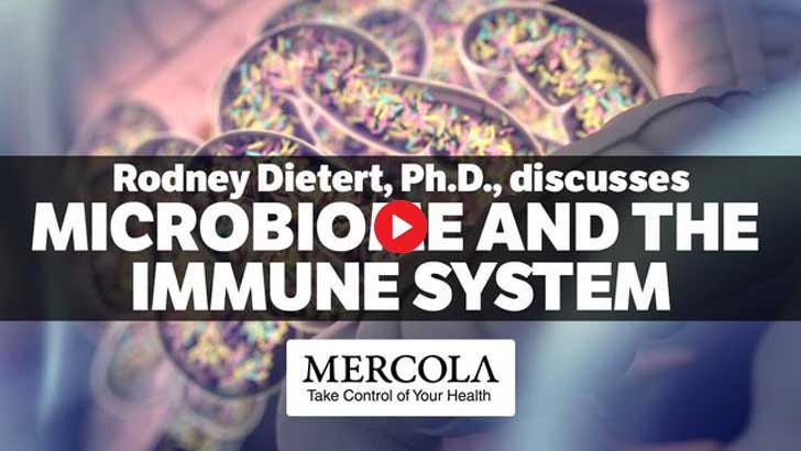 Rodney Dietert: How Your Microbiome Influences Your Immune System