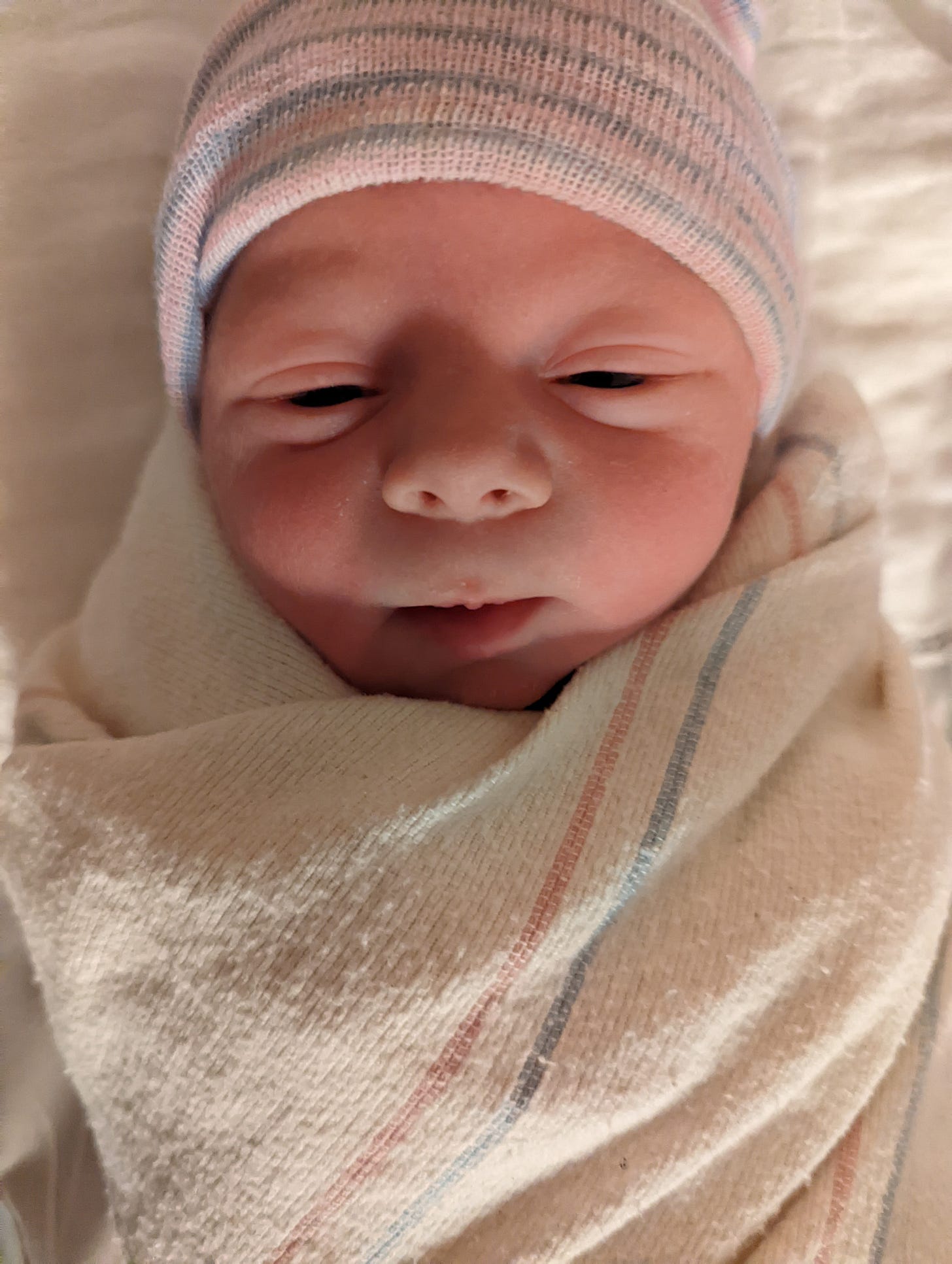 Welcome Tiger James Fallows - by James Fallows