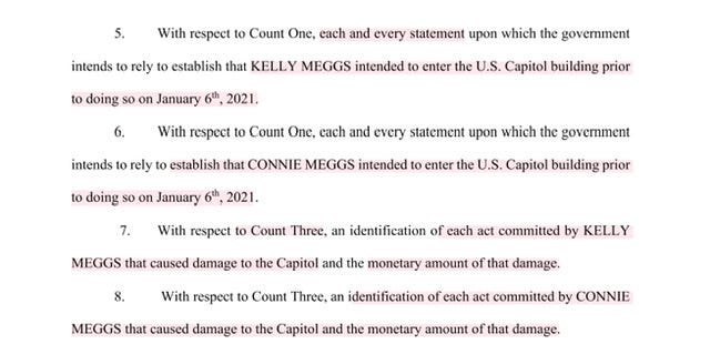 Connie and Kelly Meggs case update - File411’s Newsletter