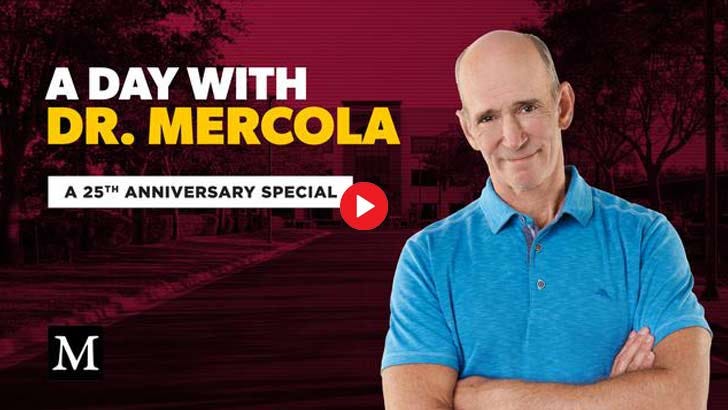 Spend a Day With Dr. Mercola - by Dr. Joseph Mercola
