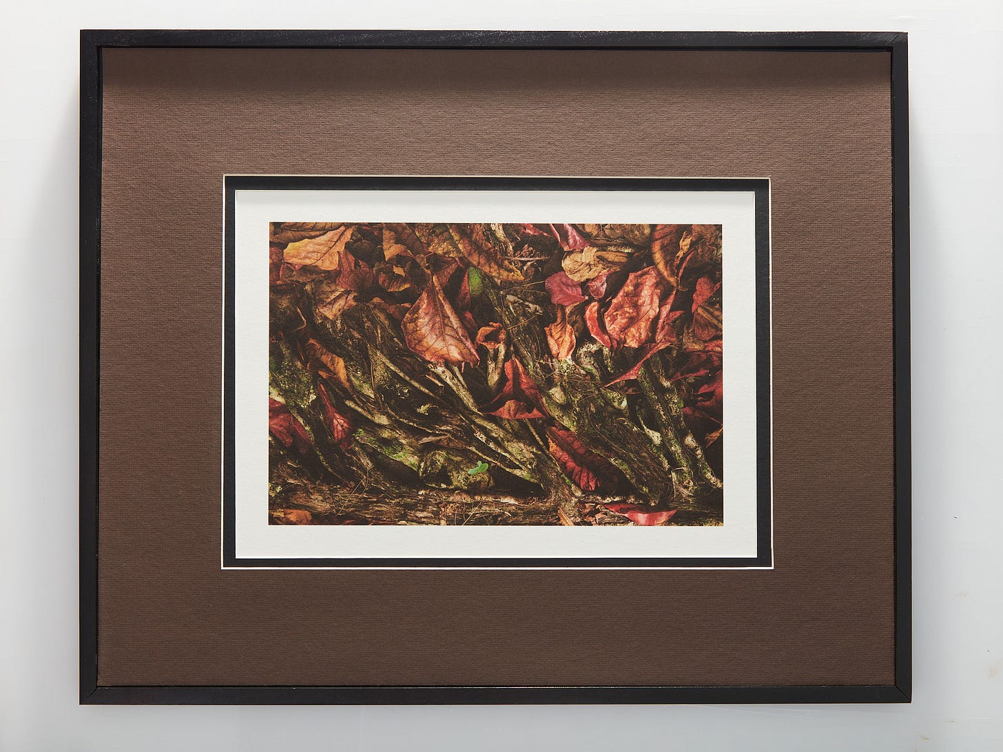 Mounting & Framing Awagami Kozo