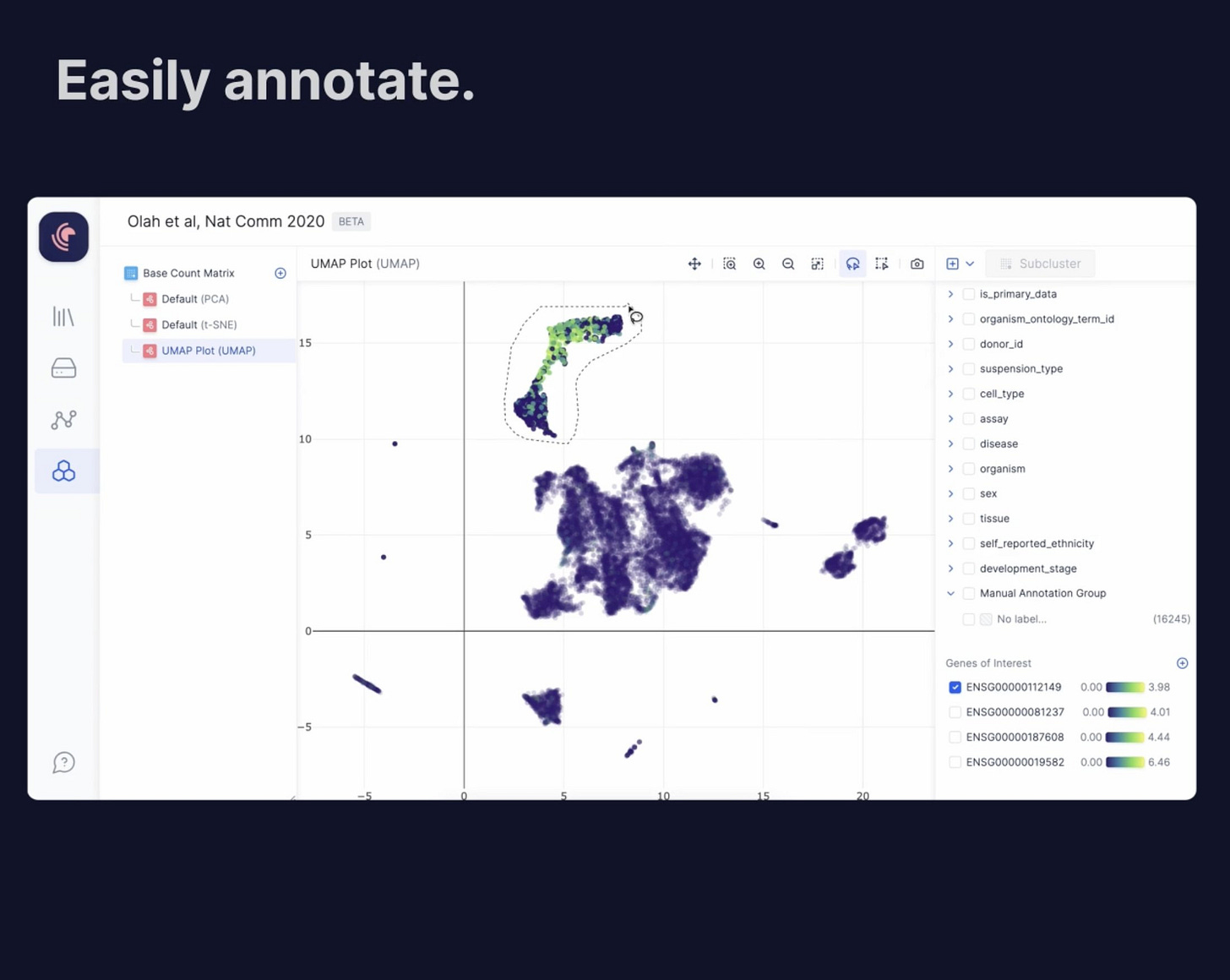 Introducing Pollock: a single-cell browser for dynamic transformations on millions of cells.