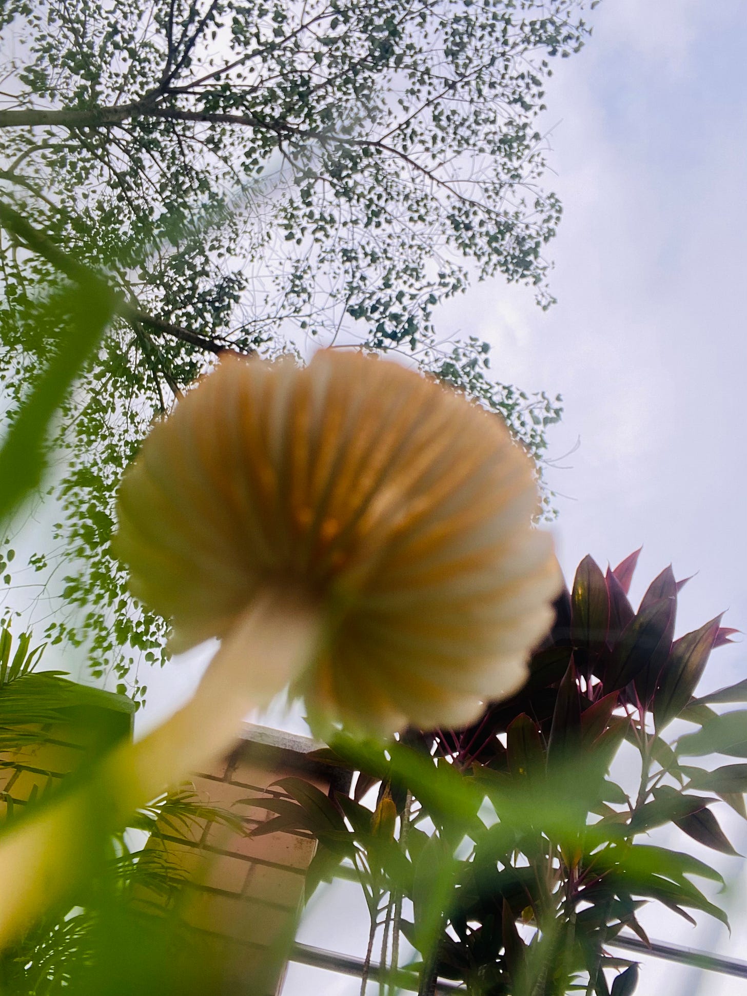 Insights | Sharoon Sunny | Substack