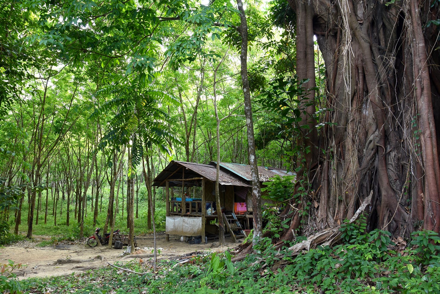 Ko Bulon: Low-level tourism meets graceful island life