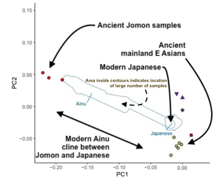 Built to Last: Continuity in Japanese Genetics