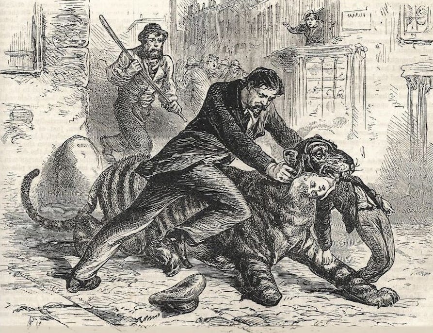 Tiger attack, 1857 - by Andrew Chapman - Histories