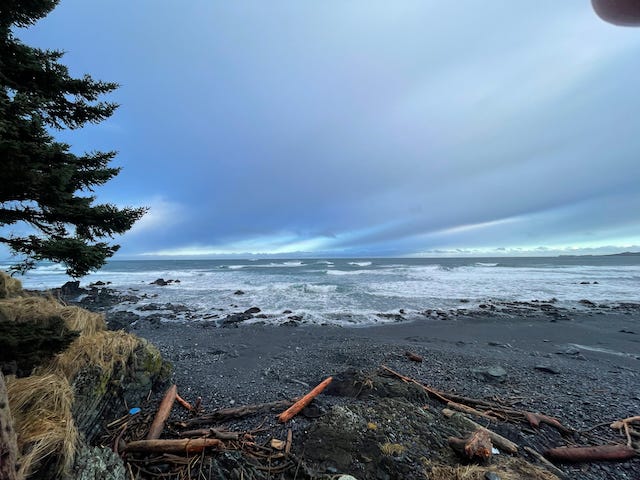 Puffin Press | Damon Hargraves | Substack