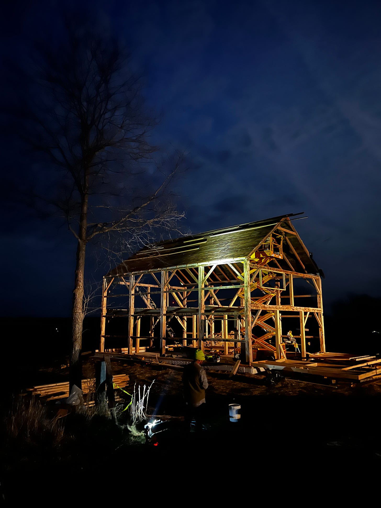 It Takes a Village (and a Crane) - by Beth Hoffman