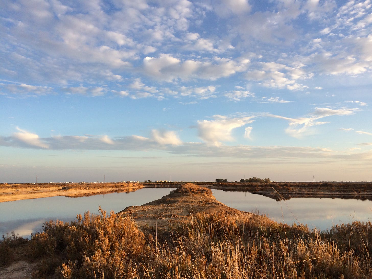The beautiful and ever changing Ria Formosa - by Diana