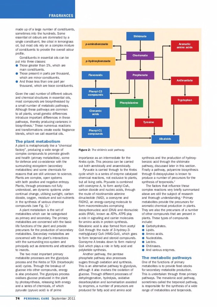 The Origin of Natural Aromatic Materials