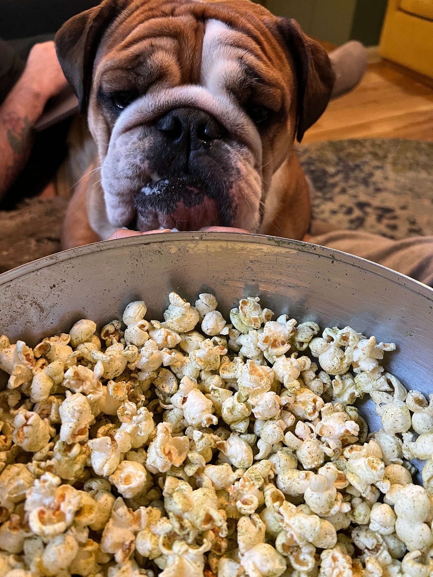 I Eat A Lot Of Popcorn, HBY? - by Sohla El-Waylly