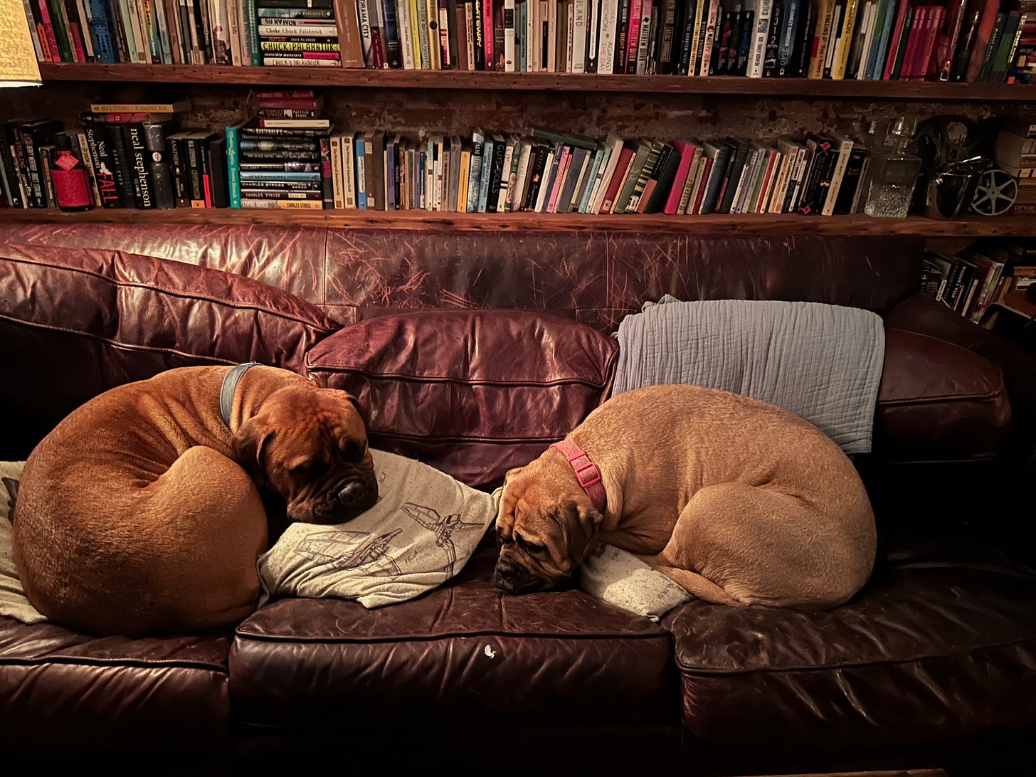 Cocktails With Suderman | Peter Suderman | Substack