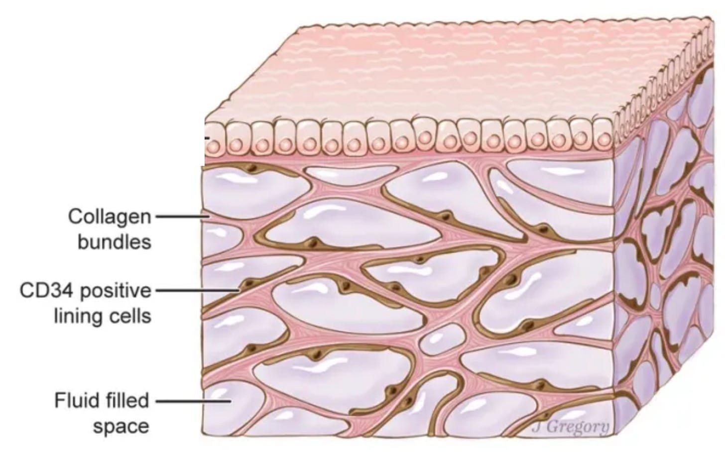 DMSO Revolutionizes Skin Care and Dermatology