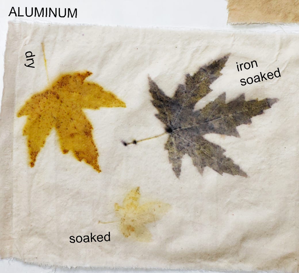Printing with leaves - by Ania Grzeszek - Kaliko Journal