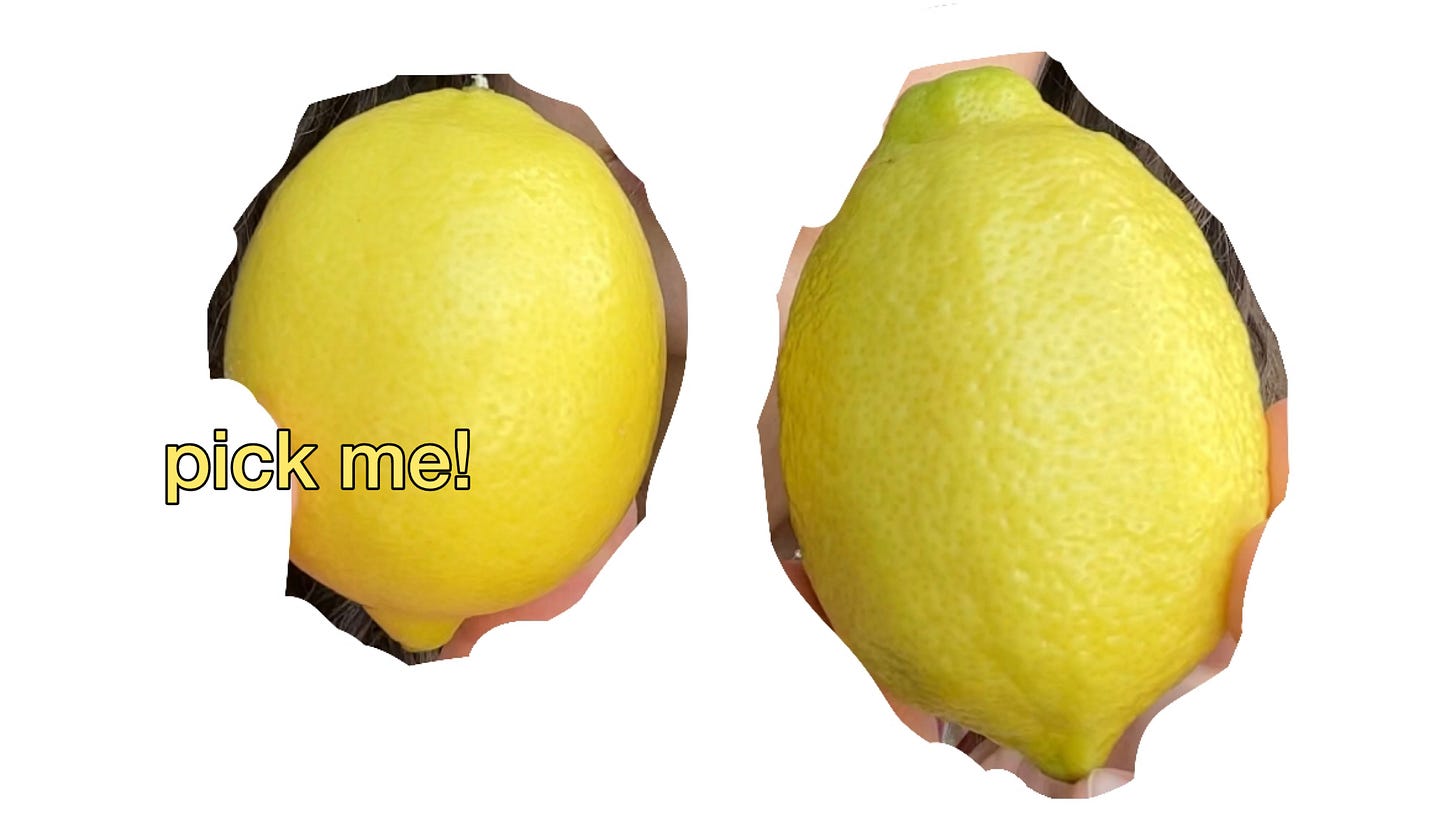 Honey Lemon Meatballs - by Carolina Gelen - SCRAPS