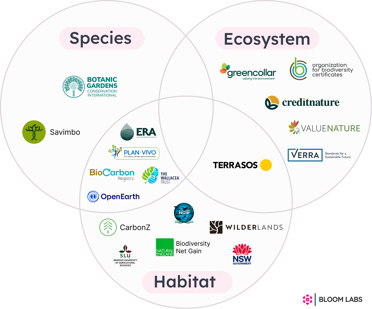 Biodiversity Credit Calculation Overview