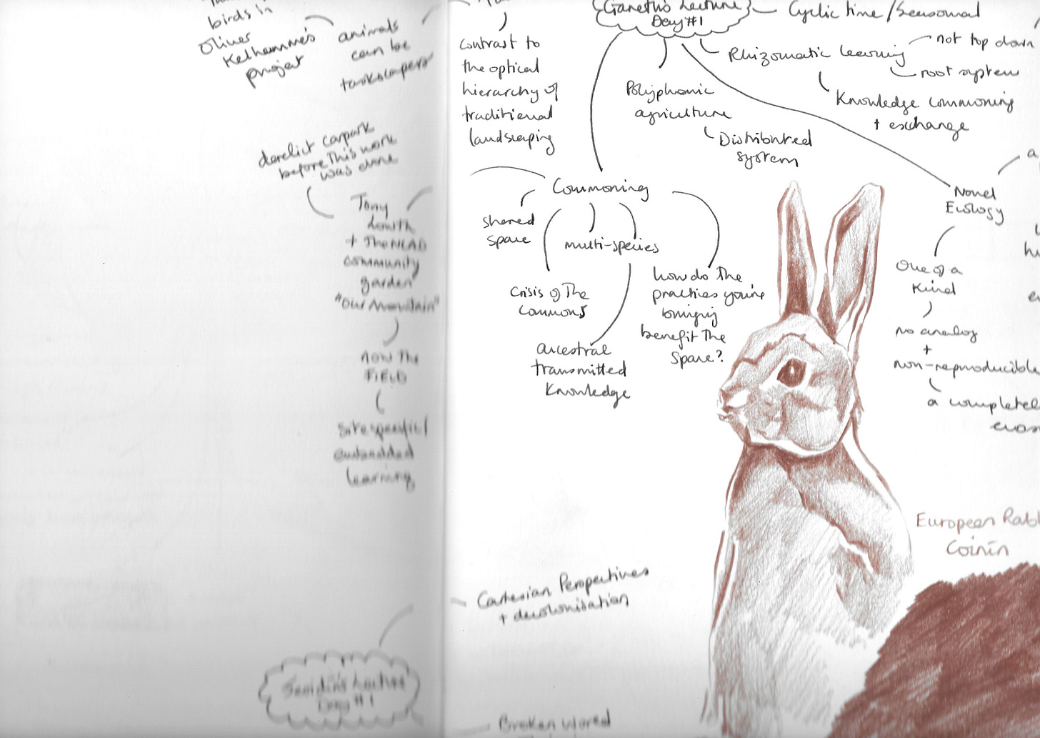 Exploring the World of Ecological Art - by Pamela Kelly