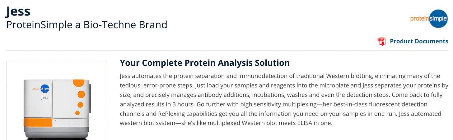 A follow-up about Western Blots - by Jessica Rose