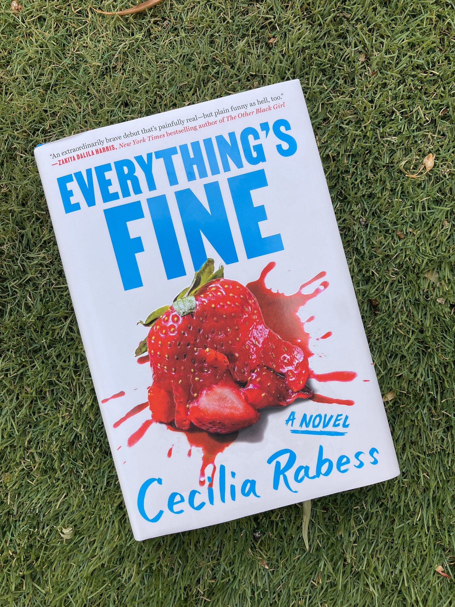 BOOK REVIEW: 'Everything’s Fine' by Cecilia Rabess