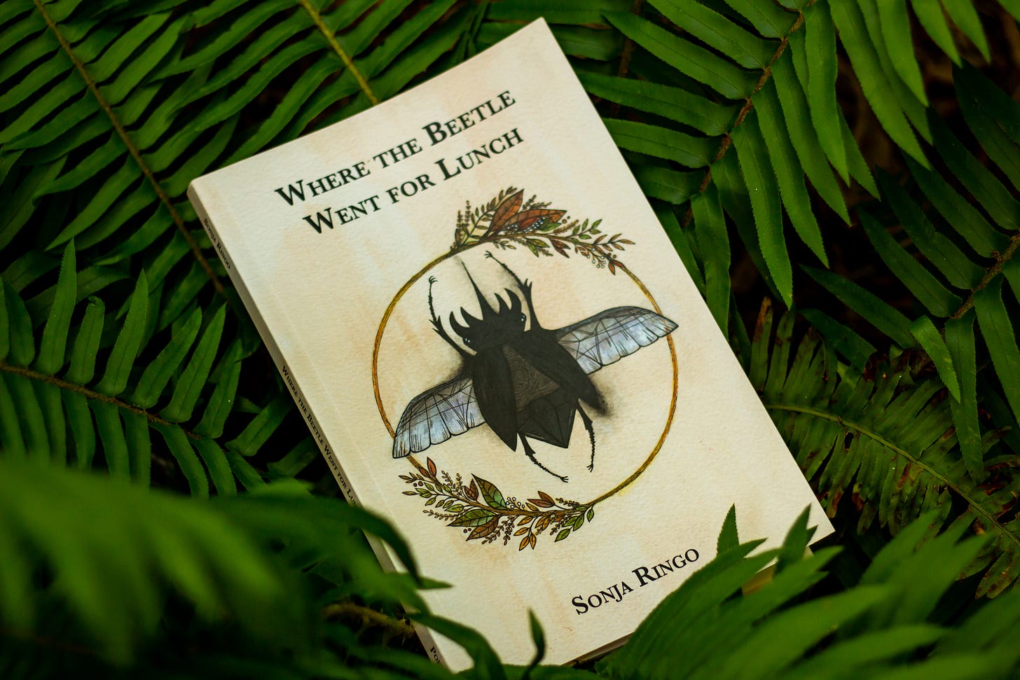 how to self-publish a poetry book: part 1 - by sonja ringo