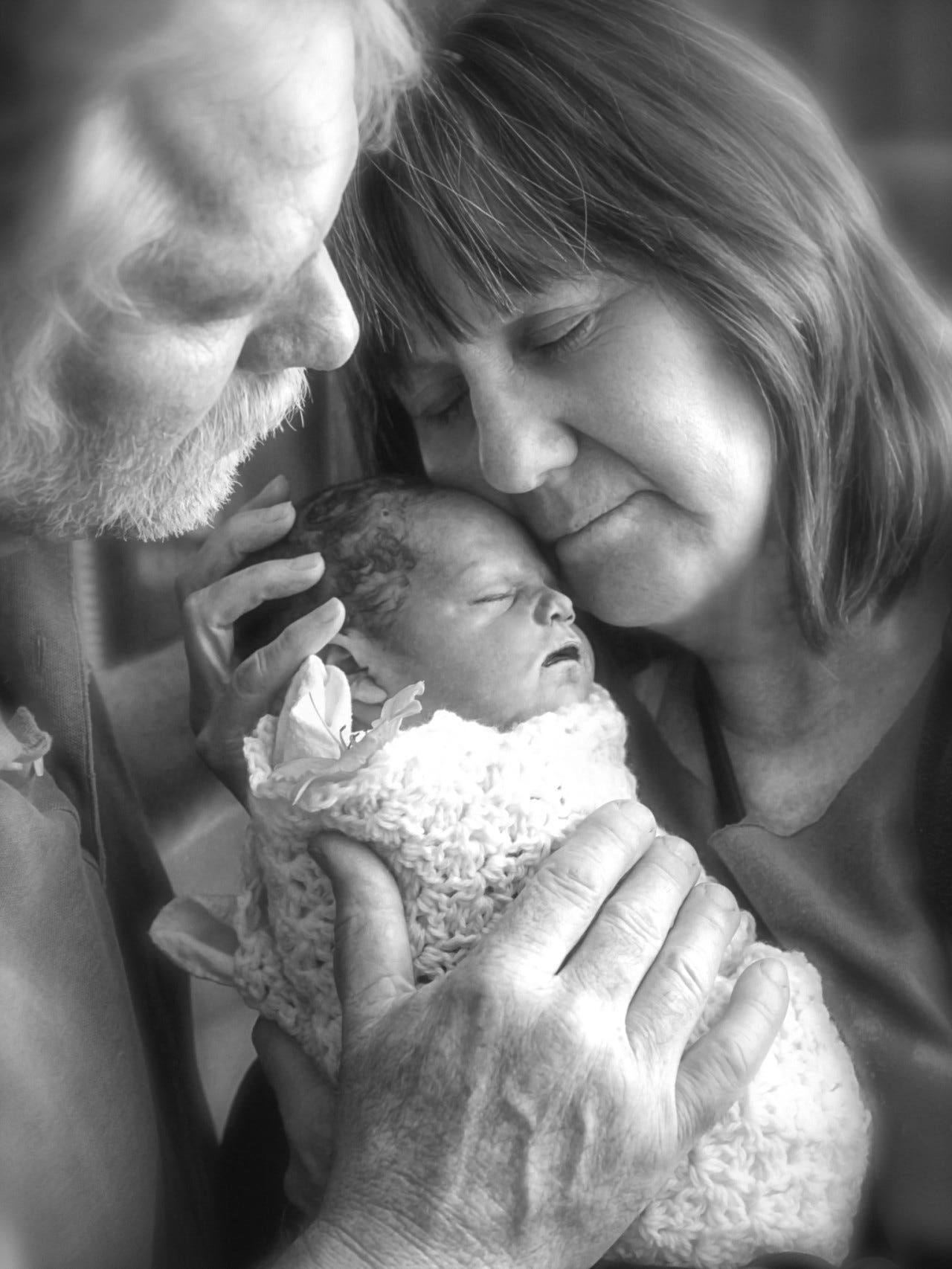 Capturing the Briefest of Lives - by Alissa Fleck