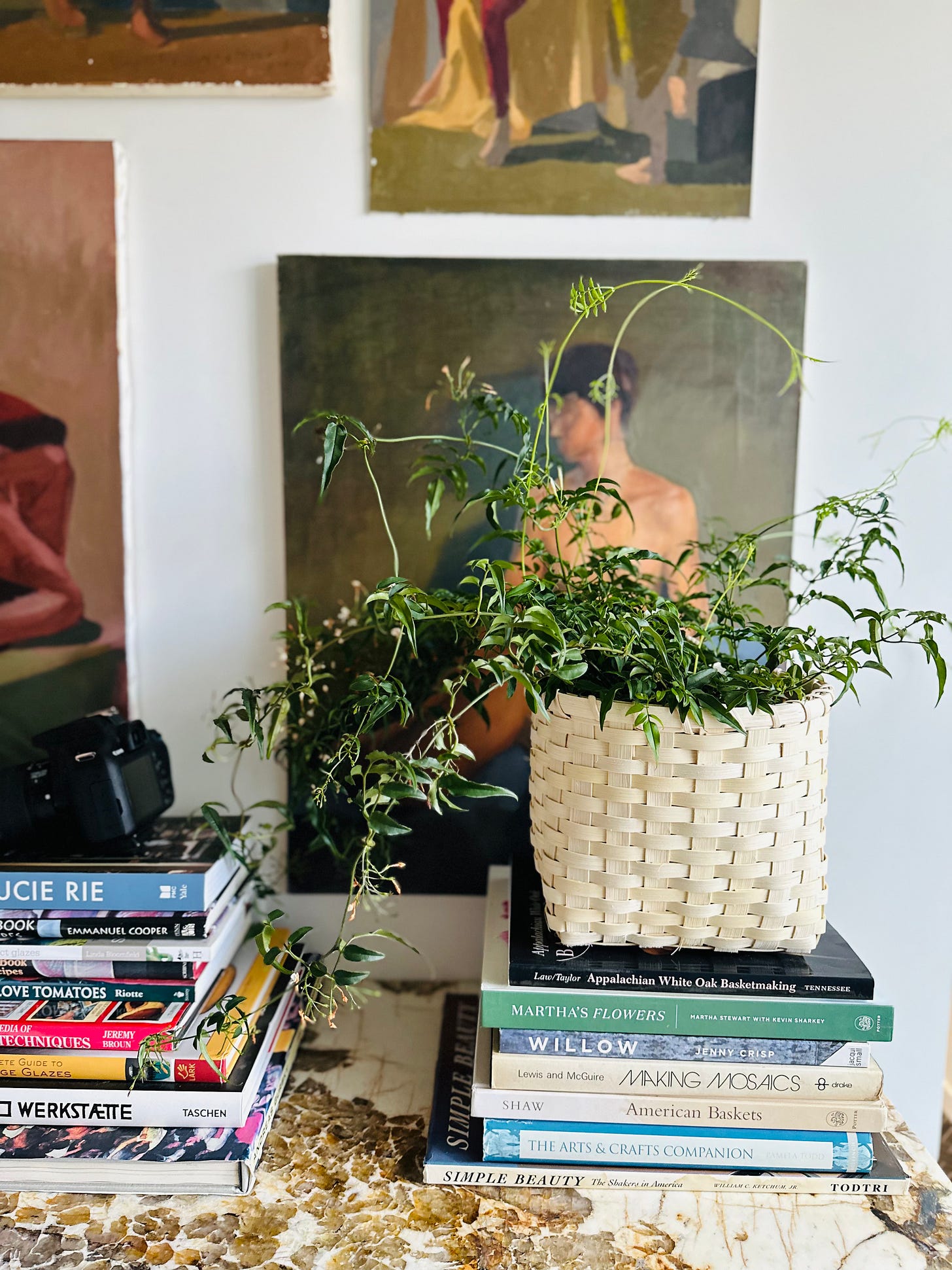 A Tiny Tour #001—Erin Pollard - by Christene Barberich
