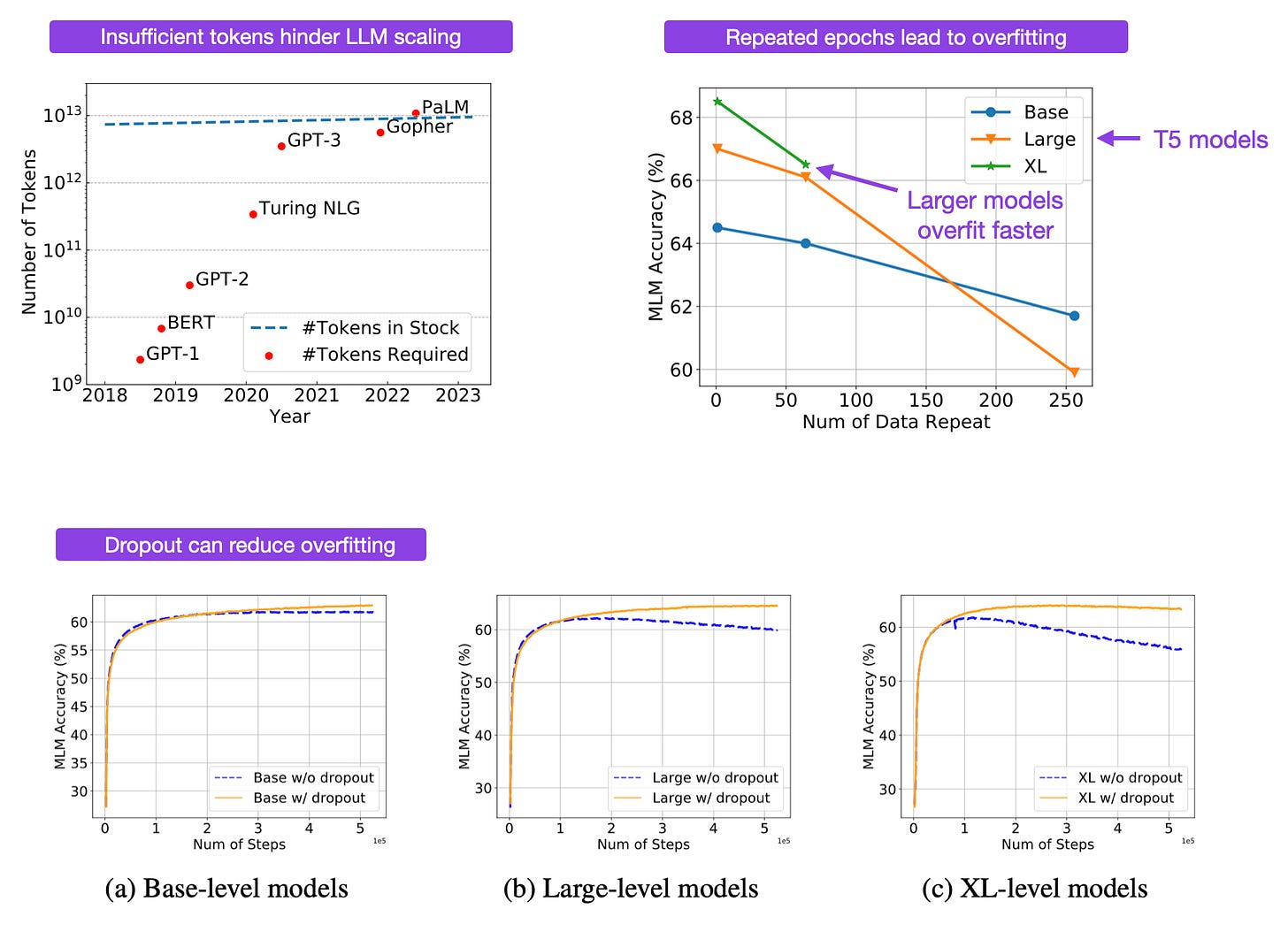 LLM Tuning & Dataset Perspectives