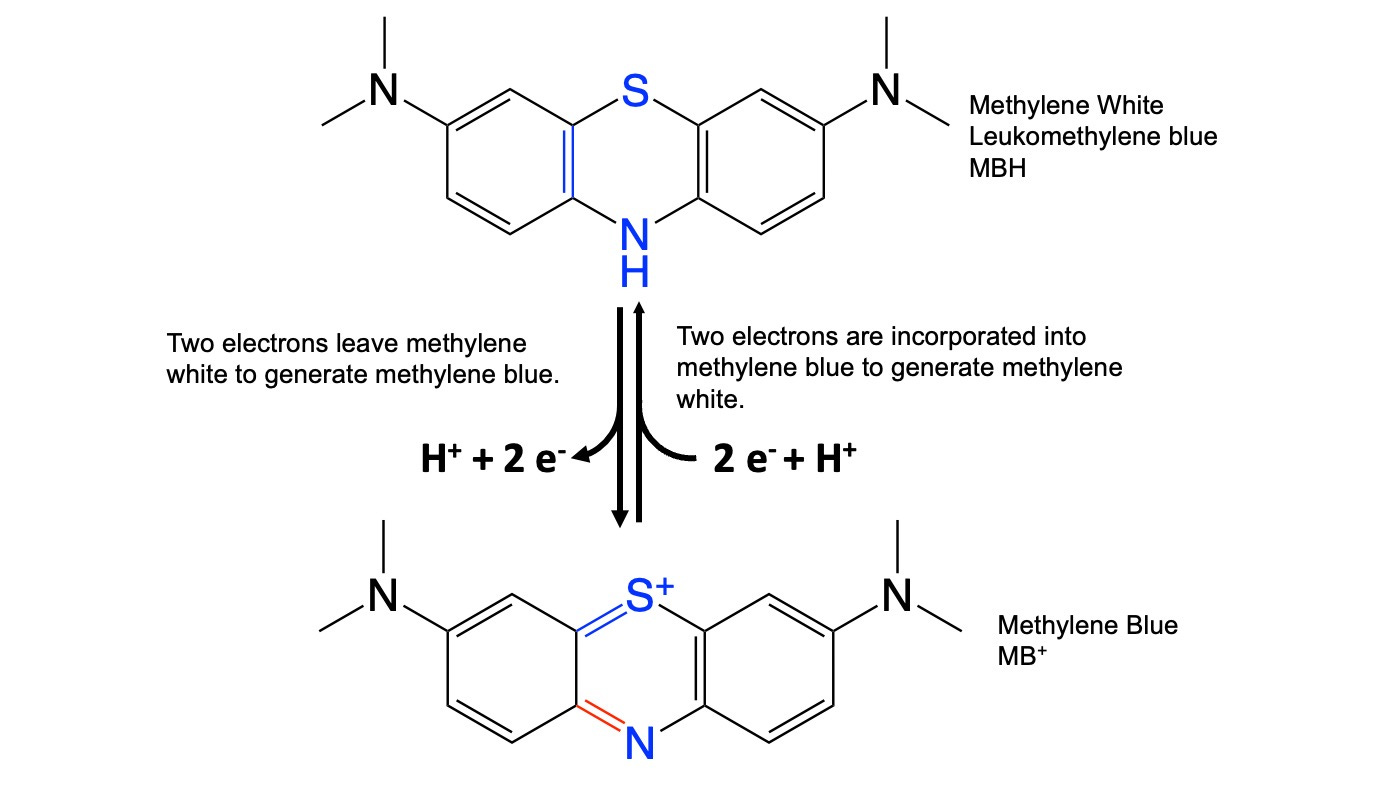 Methylene Blue: Biohacker's delight, or playing with fire?