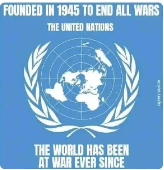 Ann Barnhardt Memes - Edwin’s Newsletter #1